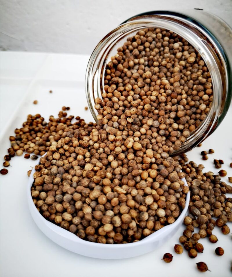 Semilla de Cilantro – El Mercat